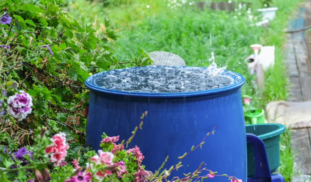 Rainwater Harvesting at Home | Take Care of Texas